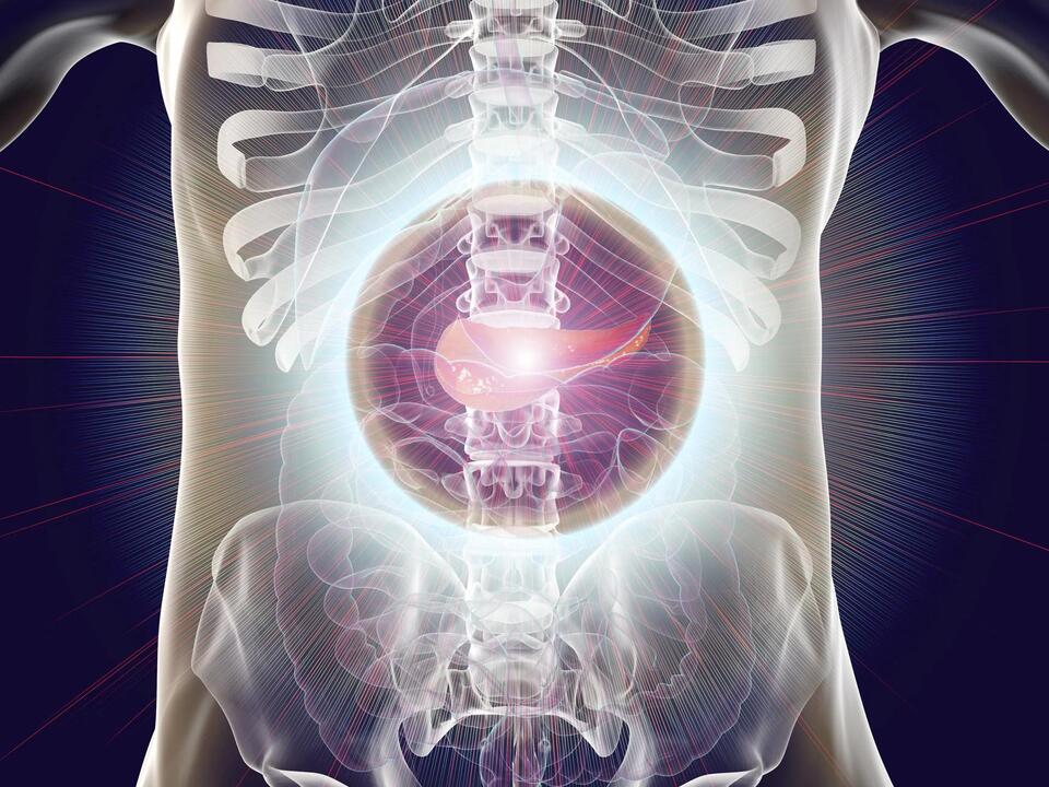 Meg Bennett Died, ‘Star Trek’ Actress Still Cancer-Free After 20 Years ...