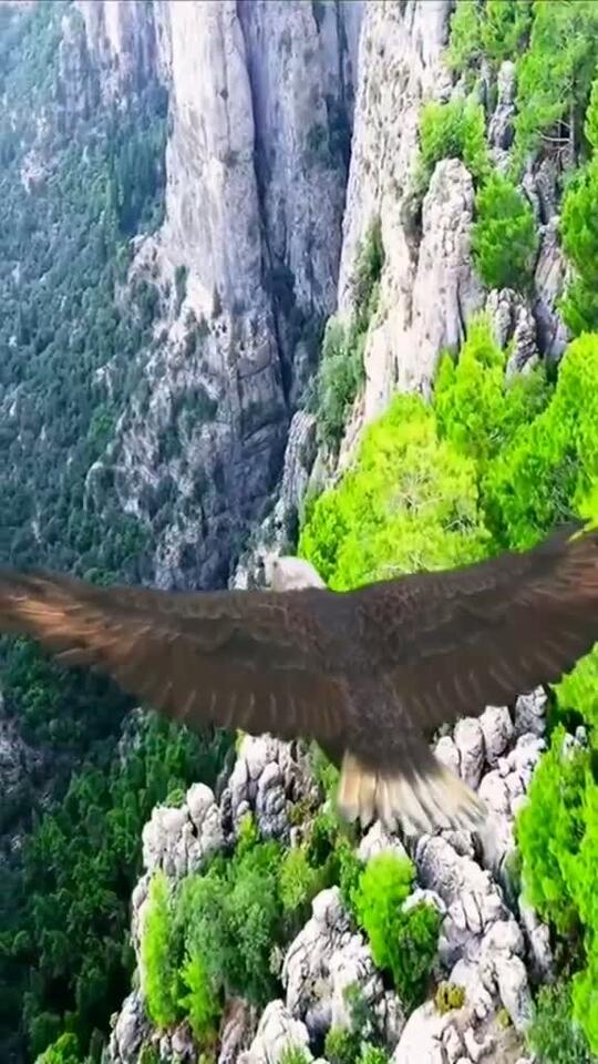 The nature is perfect. #amazing #world #nature - NewsBreak