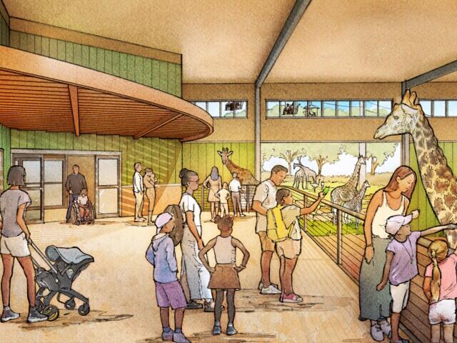 KCZoo announces new $30 million giraffe complex in May 2026 - NewsBreak