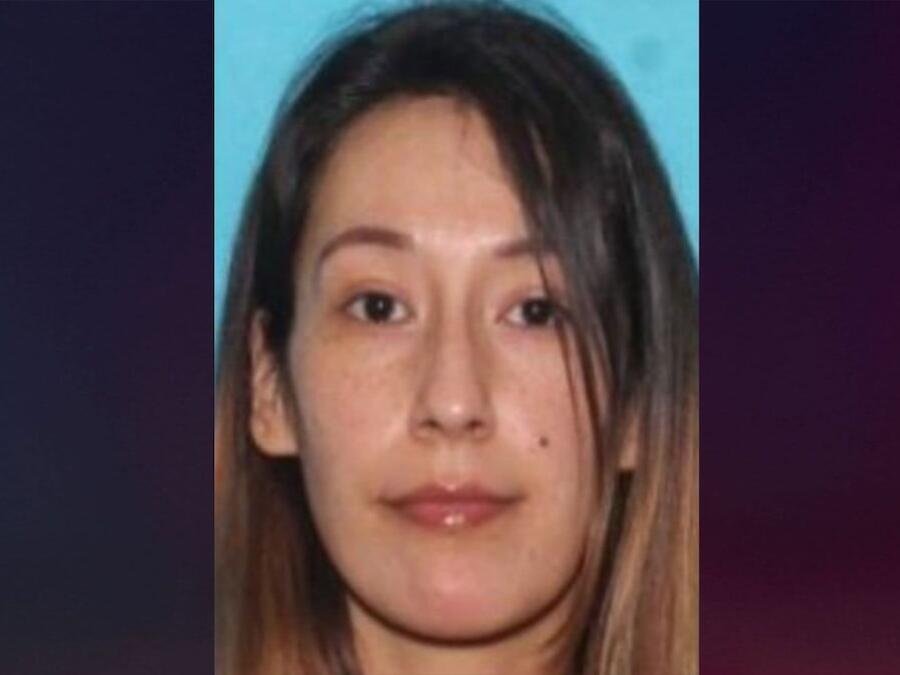 Minnesota mother accused of stabbing her two young sons and setting ...