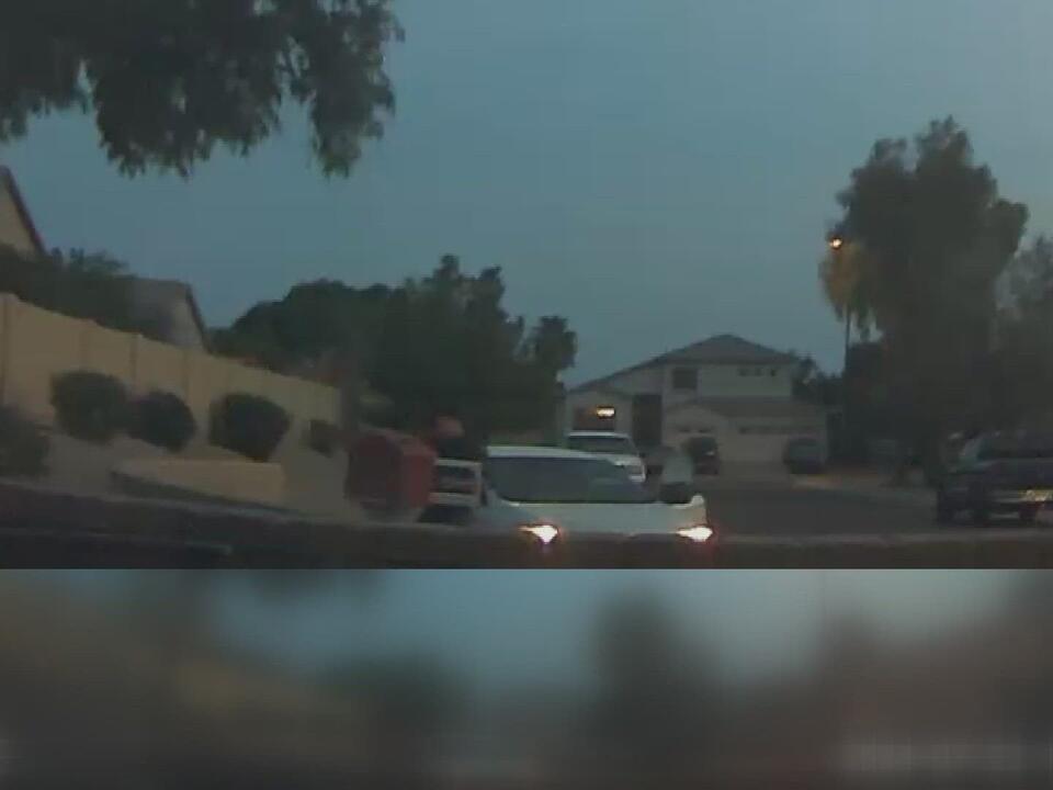 Thief caught stealing children's books from neighborhood library