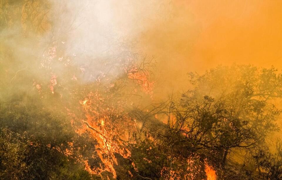 Looking Glass Fire prompts trail, road closures in Transylvania County ...