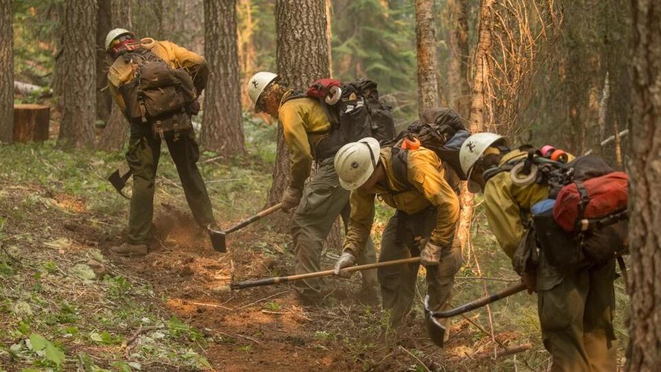 The new NFPA 1950: Consolidating tech rescue, EMS and wildland PPE ...