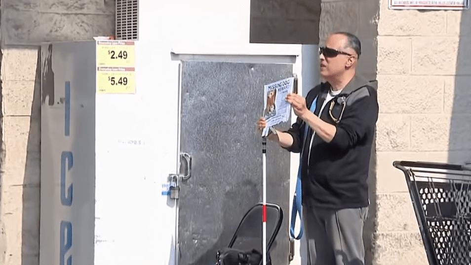 Heartbreaking: 14-year-old service dog from devastated blind man stolen ...