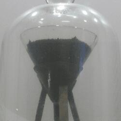 The Longest-Running Laboratory Experiment In The World Is Streaming ...