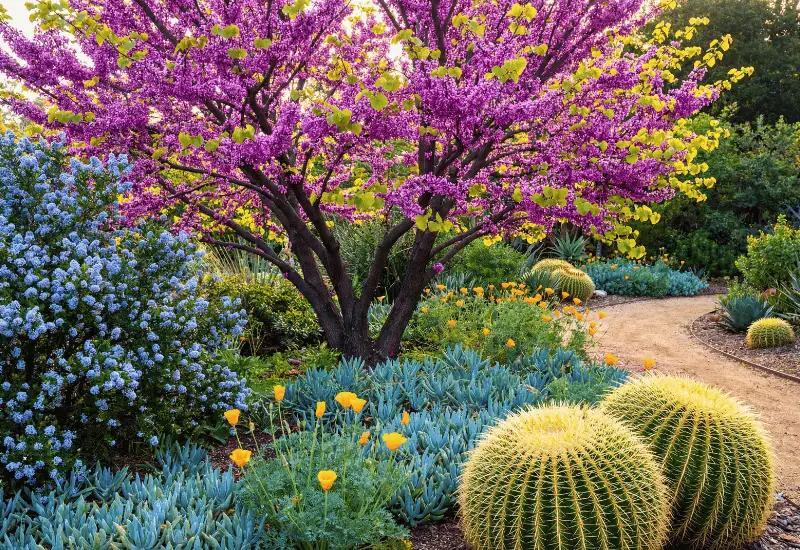 10 California Native Trees to Plant Instead of Crape Myrtle This Year ...