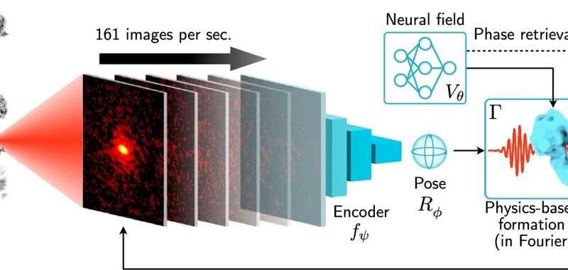 Machine learning algorithm rapidly reconstructs 3D images from X-ray ...