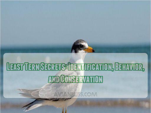 Least Tern Secrets: Identification, Behavior, and Conservation (2024)