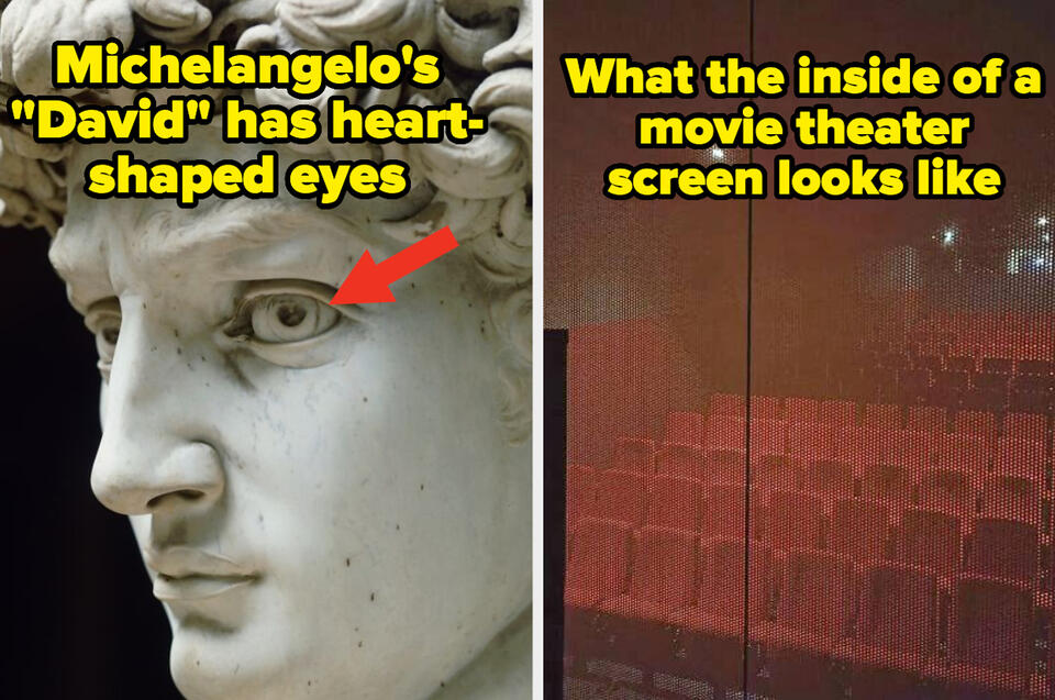My Dumb Little Brain Just Got Blown After Seeing These 24 Absolutely ...