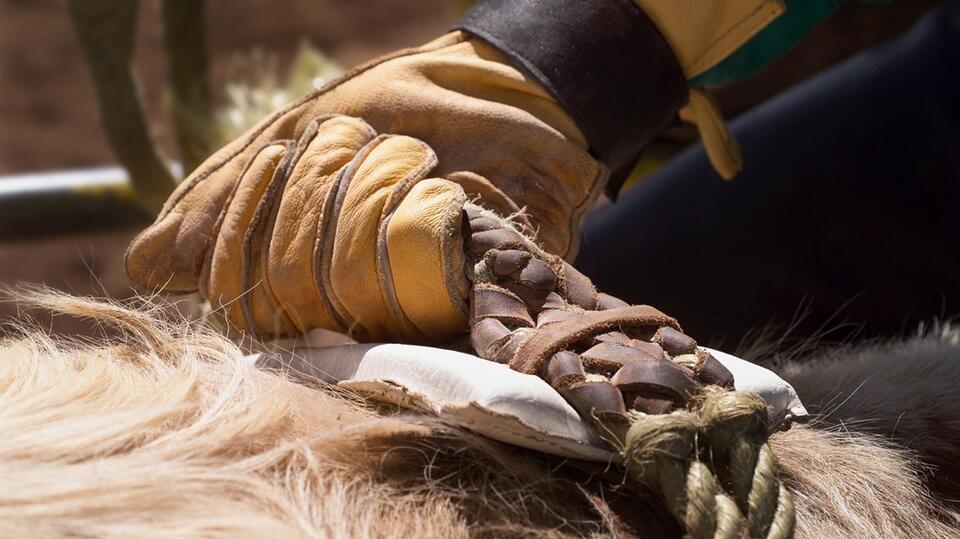 Killeen Rodeo wins national award from Women’s Professional Rodeo ...