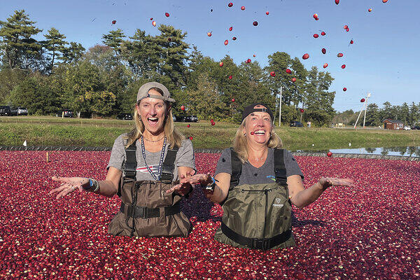 Cranberries – so much more than meets the eye - NewsBreak