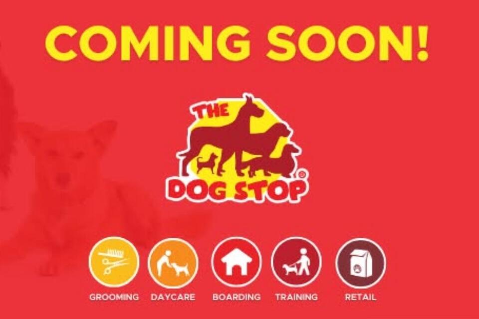The Dog Stop, one-stop services for dogs, opening 1st NJ location ...