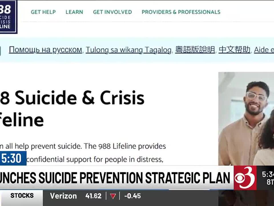 State unveils new strategic suicide prevention plan