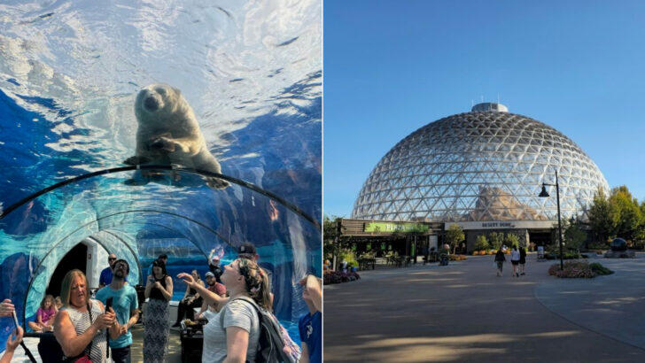 21 Most Unique Zoos Across America Worth Visiting At Least Once - NewsBreak