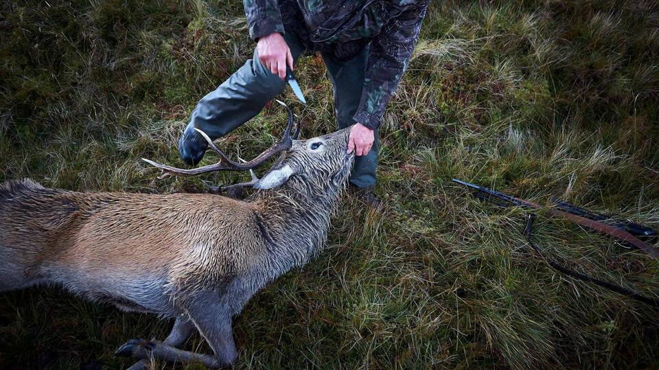 The Largest Whitetail Deer Ever Caught in Virginia Was an Absolute Unit ...