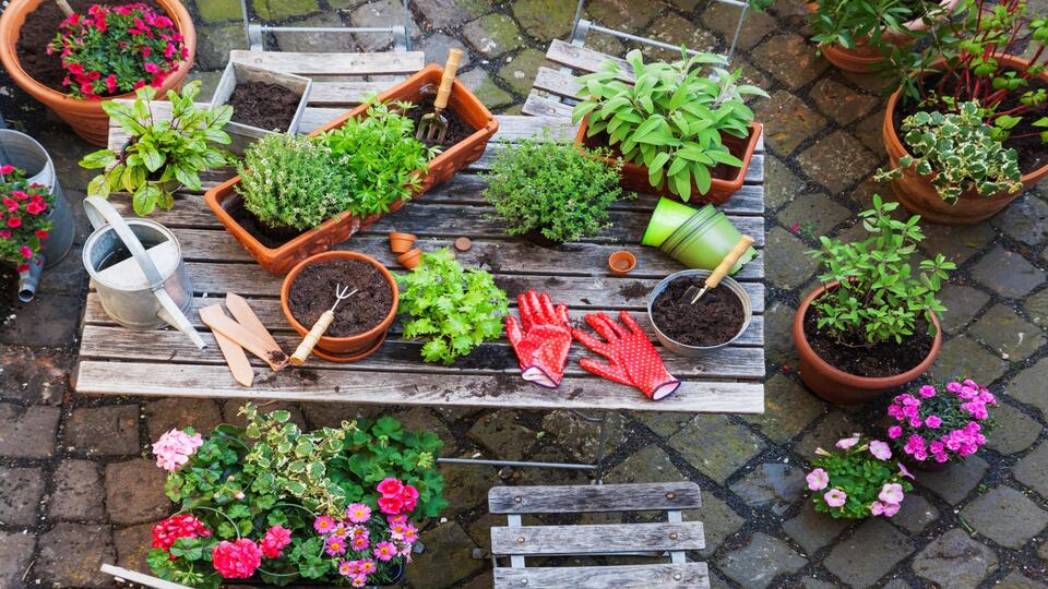 Spring gardening checklist: 10 essential jobs to spruce up your yard ...