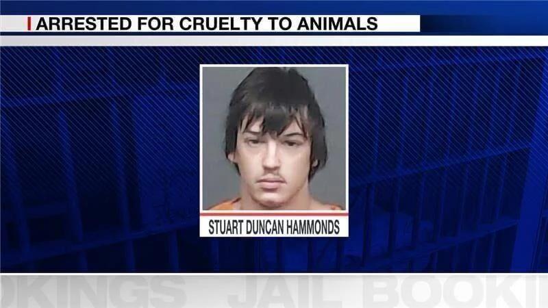 Bowie County man set to appear in court on animal cruelty charges ...