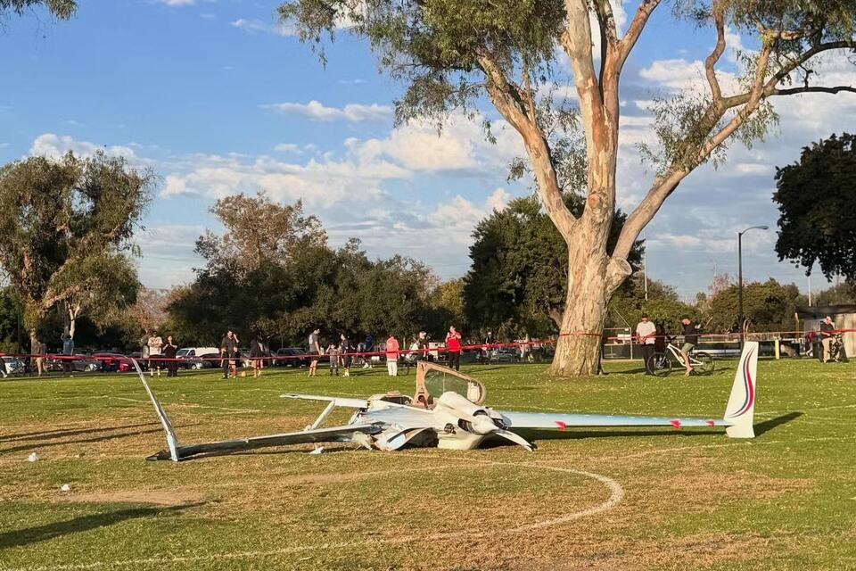 Deaf woman survives being hit by plane that crashed into her as she ...