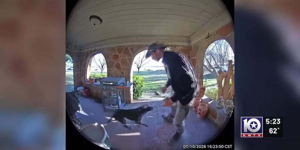 Central Texas man thrilled to have lost Labrador back - NewsBreak