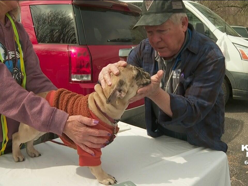 Dogs and cats fill Wichita parking lot for free vaccinations