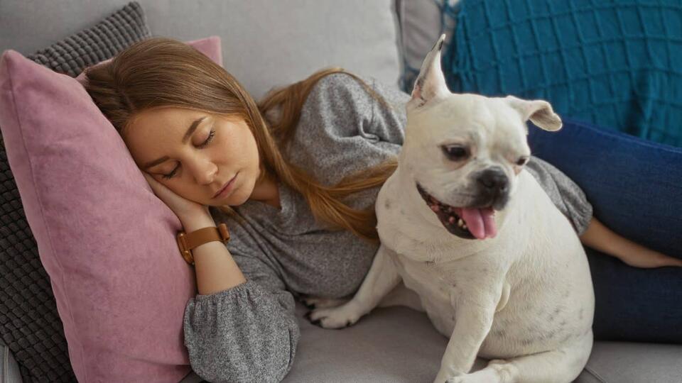 Top 9 Things Dogs Do That Prove Their Love Is Limitless - NewsBreak