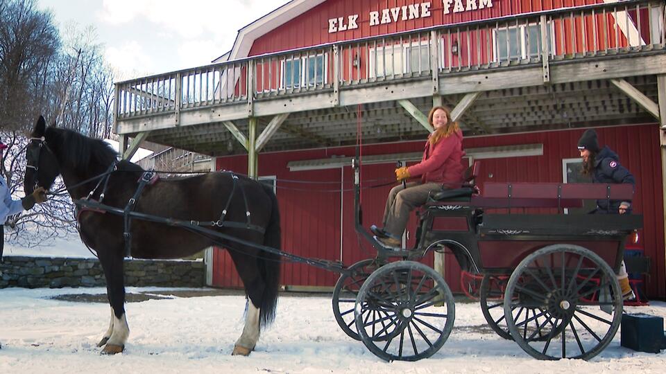 Experience the magic of Elk Ravine Farm: A family-owned haven in Amenia ...