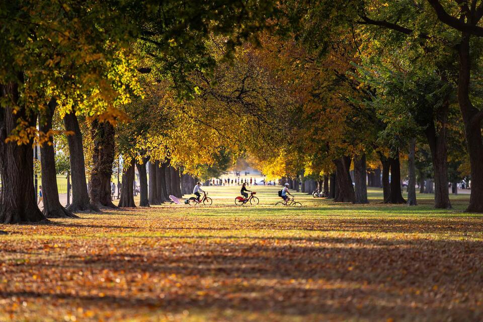 Fall officially arrives with the autumnal equinox. What to know ...