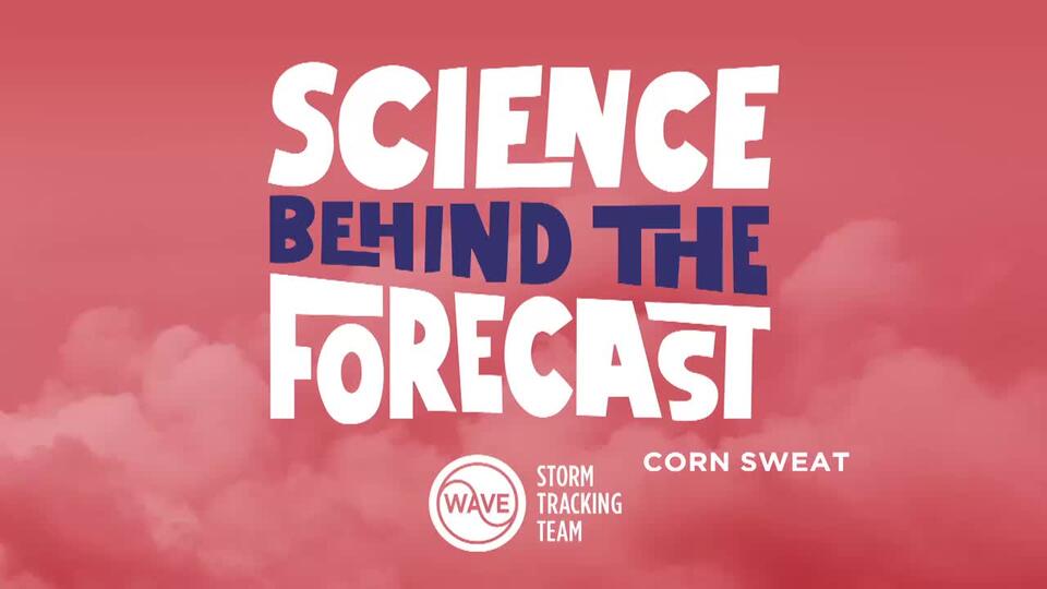Science Behind the Forecast: What is "Corn Sweat"? - NewsBreak