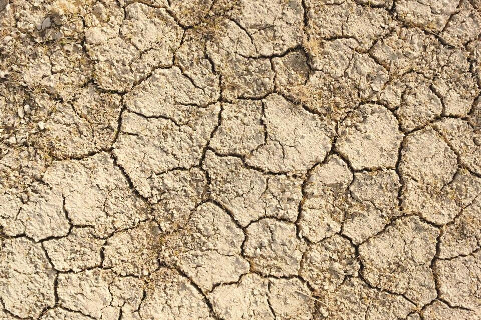 Extreme Drought Conditions Declared in Several Missouri Areas - NewsBreak