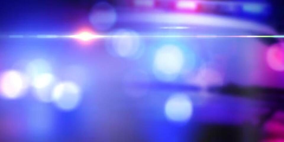 Gambling devices seized after nearly year long investigation in Cañon ...