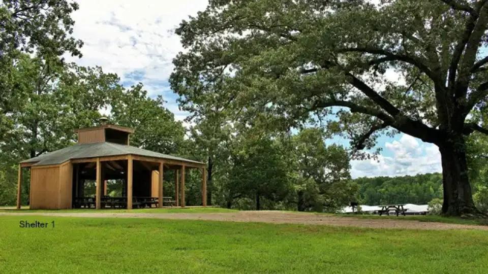 ⚠️ Dog Park at Pickwick Landing Closed After Storm Damage - NewsBreak