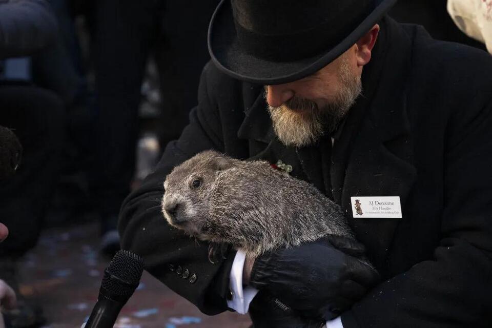 Groundhog Day 2025: Six More Weeks of Winter! - NewsBreak