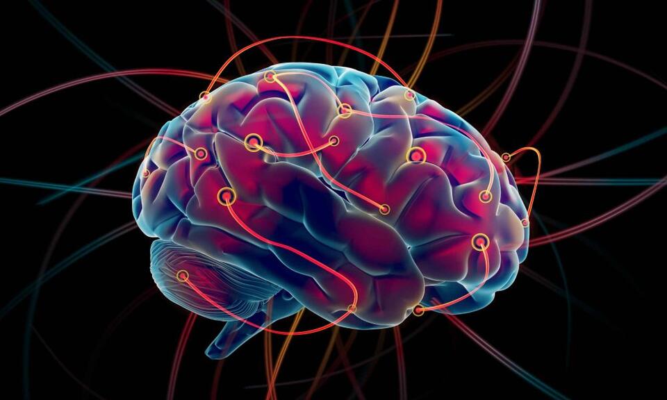 These small habits naturally slow and reduce cognitive decline, keeping ...