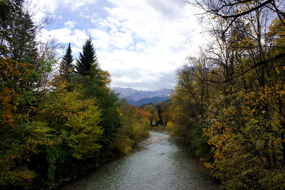 Rewilding Efforts Around the World: Bringing Nature Back to Life ...