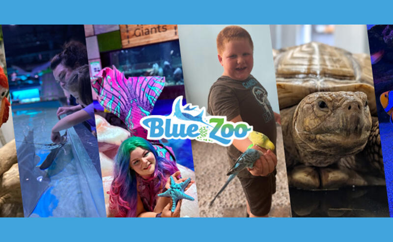 Blue Zoo Rogers Says Goodbye After Years of Family Fun - NewsBreak
