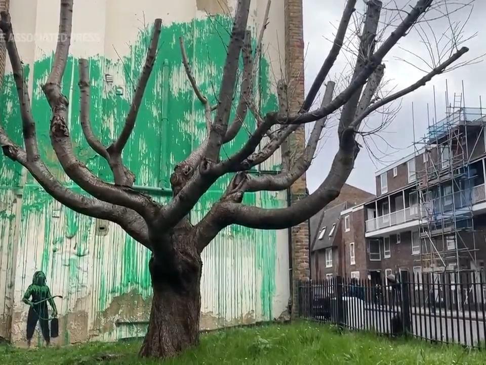 A new Banksy mural sprouts beside a cropped tree in London. Many see an ...