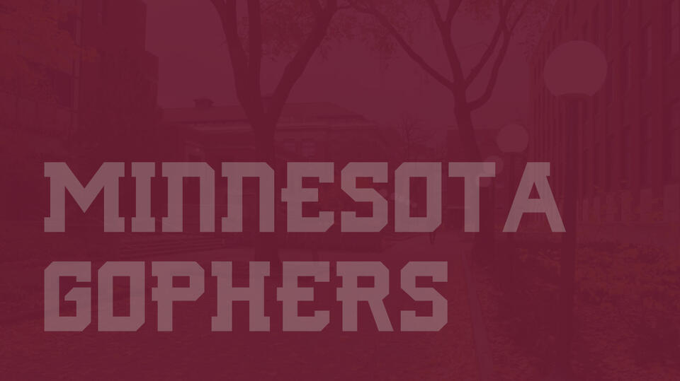 All-Minnesota Girls Hockey Player of the Year: Minnetonka’s Layla Hemp ...