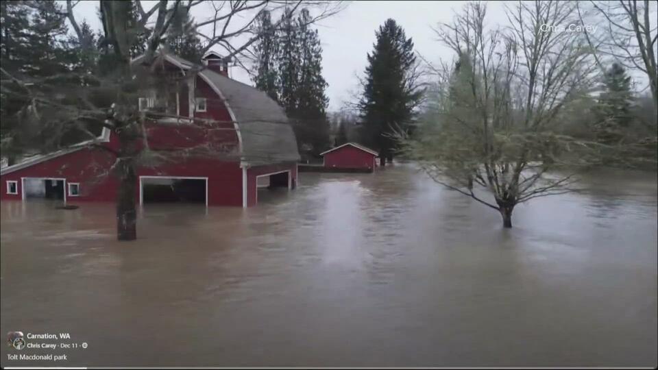 60 years of farming, biggest flood ever: Carnation strawberry farm feet ...