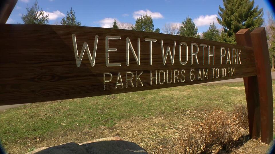 Proposed cell tower at Mendota Heights park sparks debate - NewsBreak