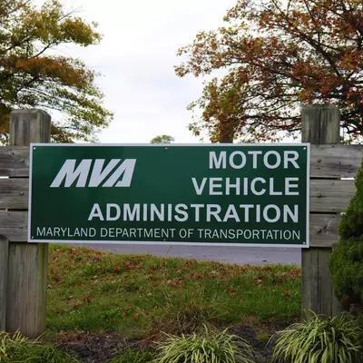 Butterfly symbol added to Maryland driver's licenses and ID cards to ...