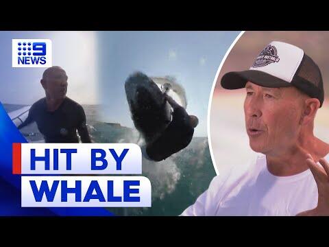 GoPro Captures Wind Surfer Slammed & Dragged Underwater By Breaching ...