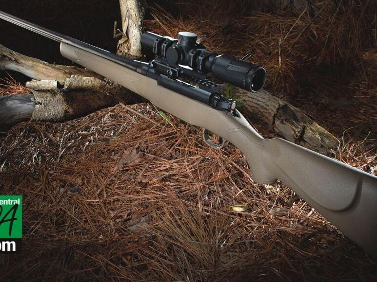 Hunter's rifle missing after he forgets it in the woods