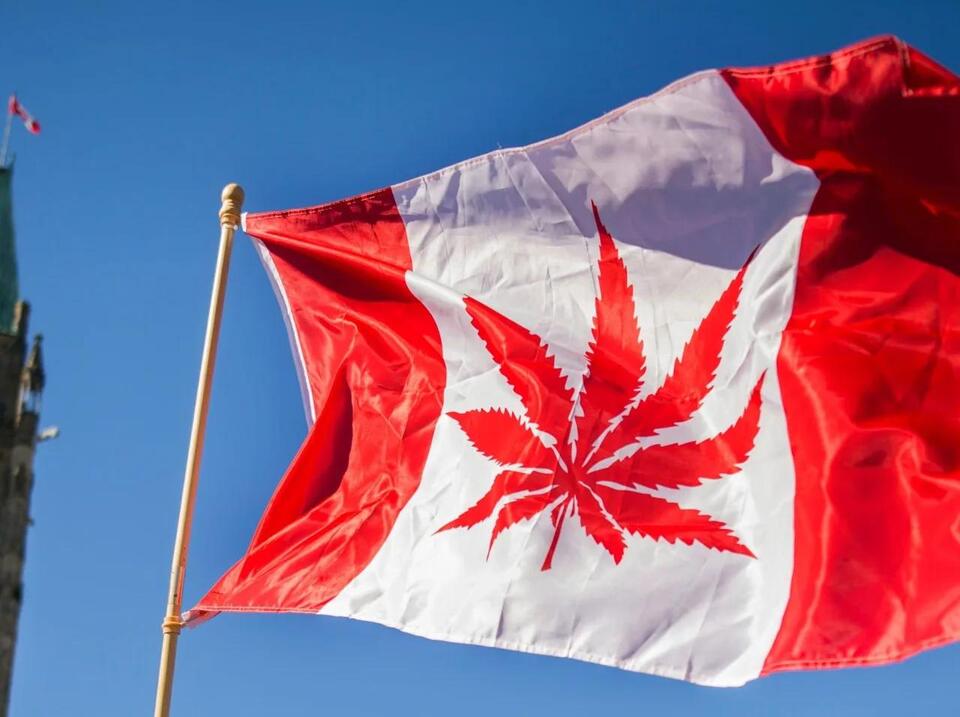 Canada Marijuana Sales Hit CA$477.9 Million in November as 2025 Total ...