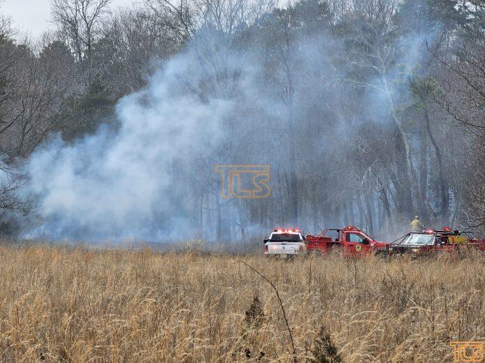 DEVELOPING: Several-acre Forest Fire Burning in Jackson [VIDEO] - NewsBreak