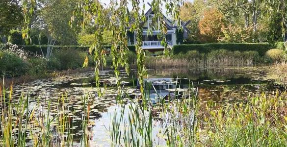 LongHouse Reserve’s 2026 Season: New Art by Larry Bell, Renee Cox ...
