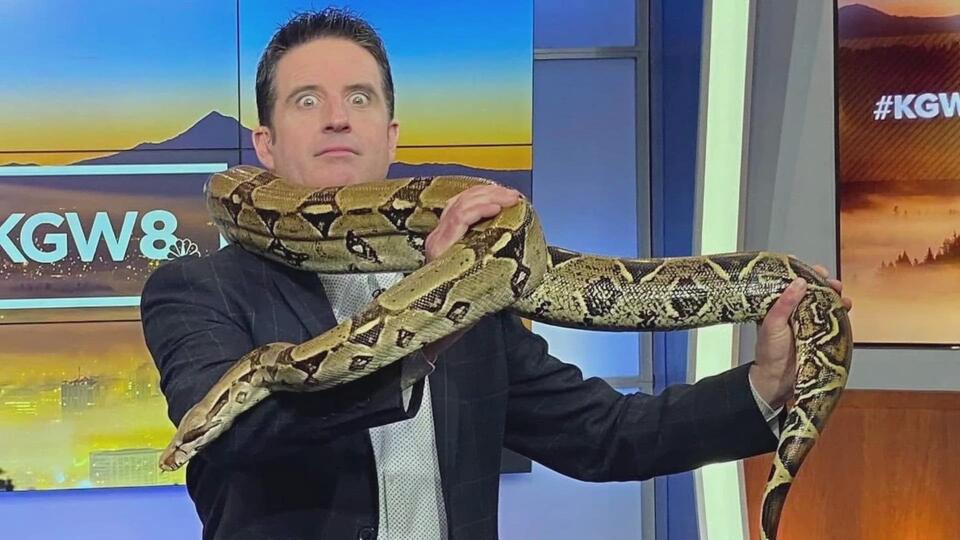 Meet the new anchor of 9NEWS Mornings - NewsBreak