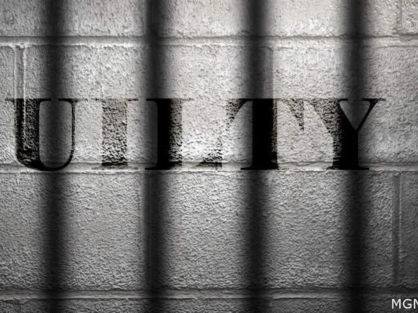 Charleston Woman Pleads Guilty To Straw Purchasing Firearms