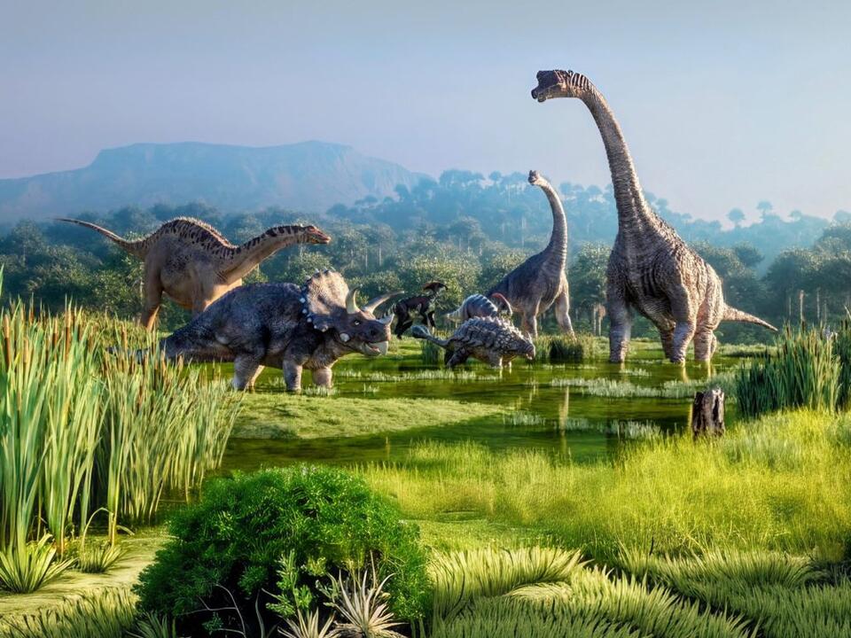 Fossilized poop reveals the diet of dinosaurs 200 million years ago