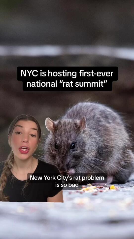 “New Yorkers may not know this about me—but I hate rats, and I’m ...