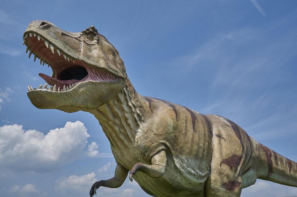 10 Traits That Made T. Rex Unstoppable - NewsBreak